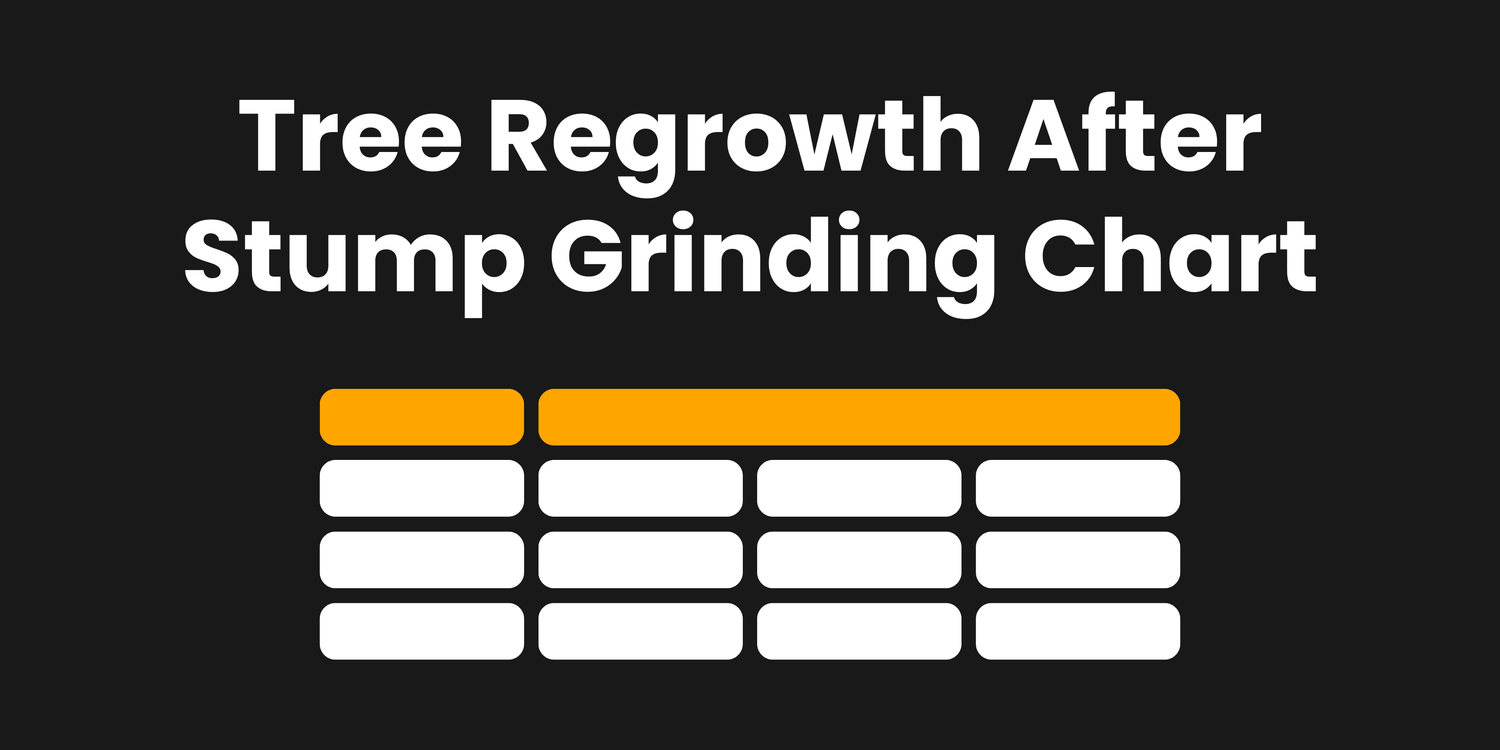 Which Trees Regrow After Stump Grinding? Full Species Guide – Pro Tree Supplies